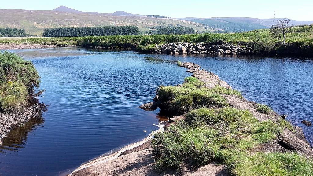 Spring Fish March 2018 | Gordonbush Estate